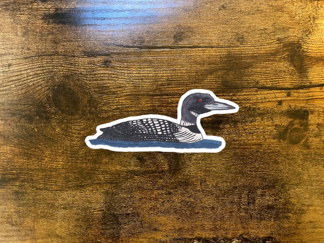 Common Loon Decal - Watercolor Bird Art - Bird Sticker - Cute Animal ...