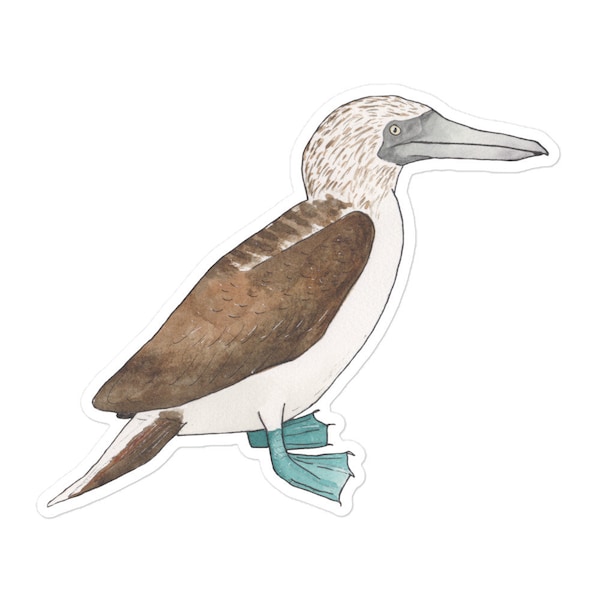 Booby Christmas 2024 - Etsy