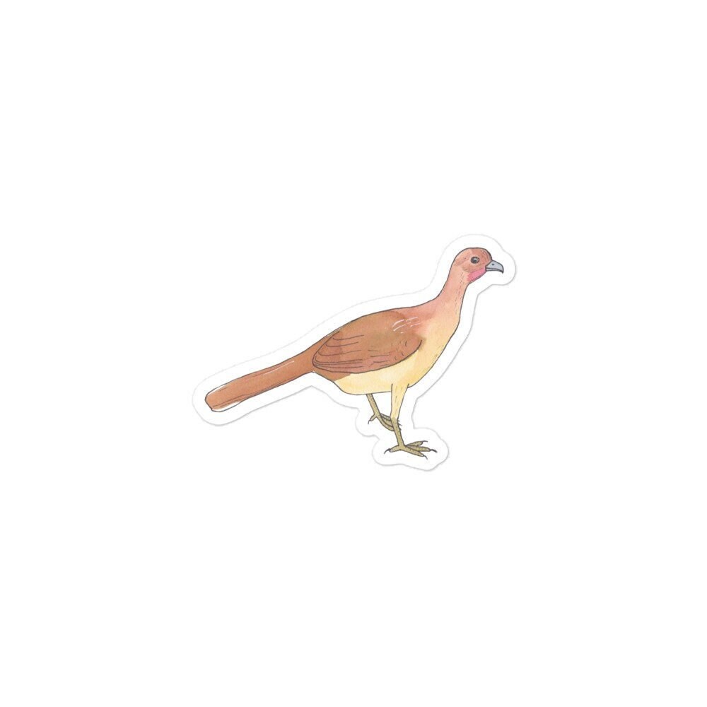 Plain Chachalaca Bird Decal Watercolor Bird Art Bird Sticker Cute ...
