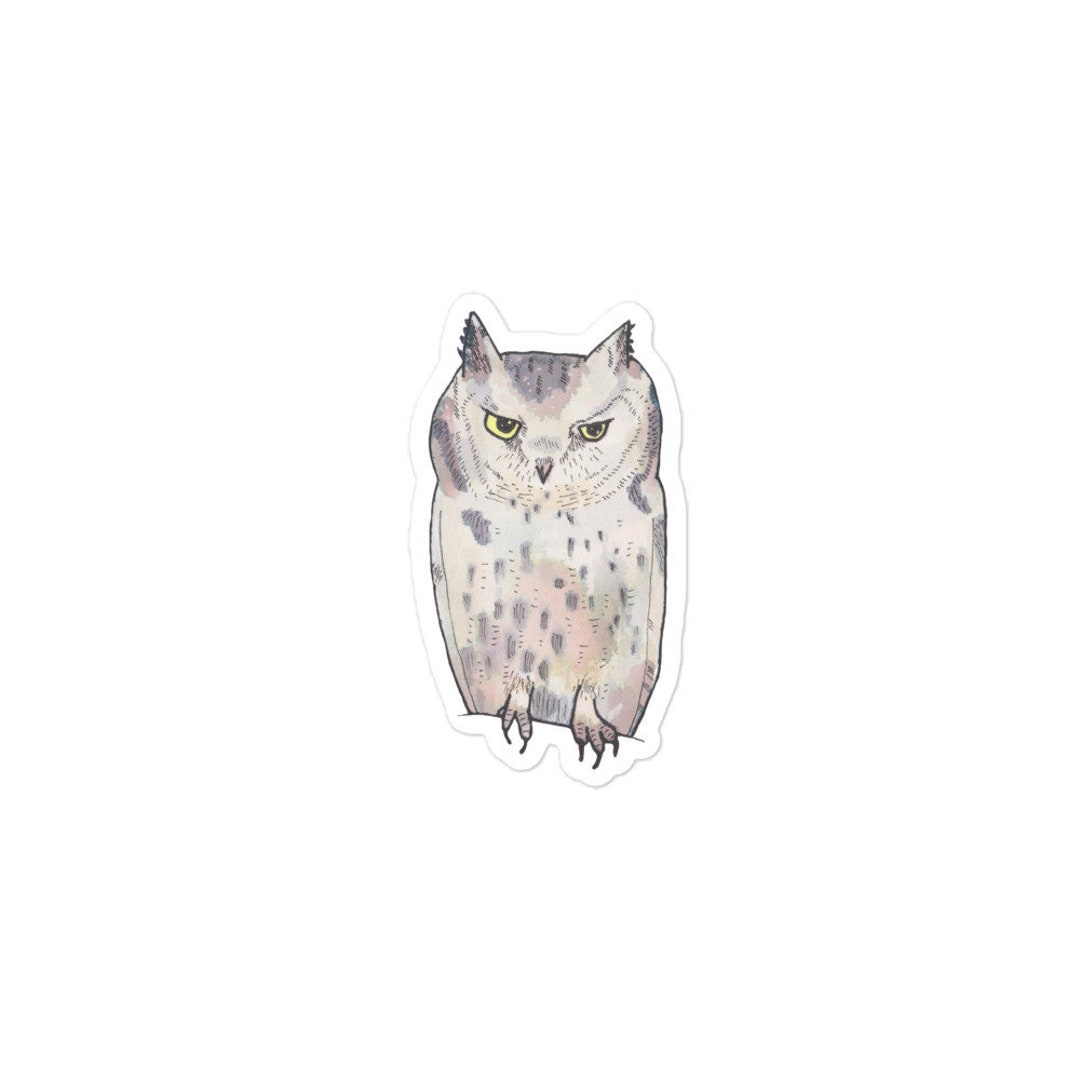 Western Screech Owl Bird Decal - Watercolor Bird Art - Bird Sticker ...