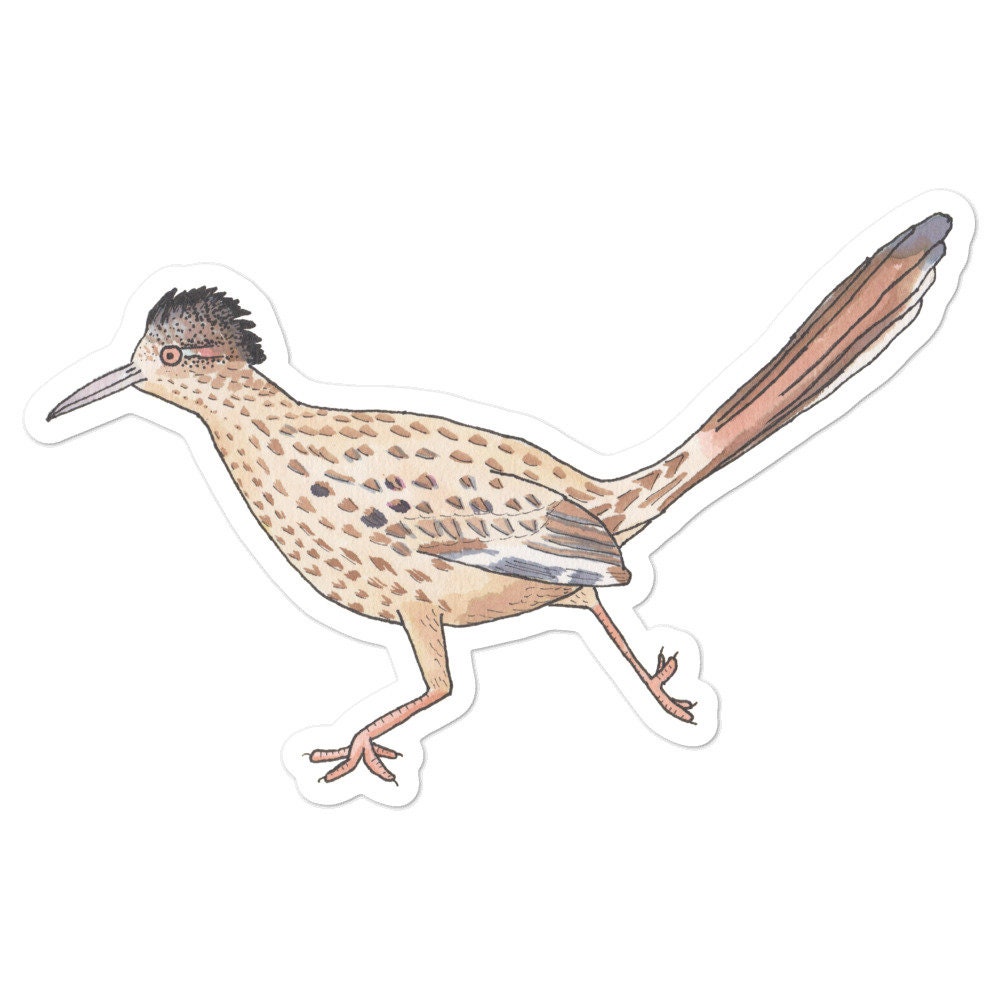 Roadrunner Decal Watercolor Bird Art Bird Sticker - Etsy