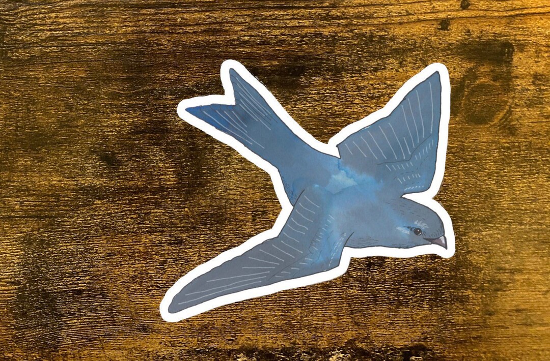 Purple Martin Decal - Watercolor Bird Art - Bird Sticker - Cute Animal ...