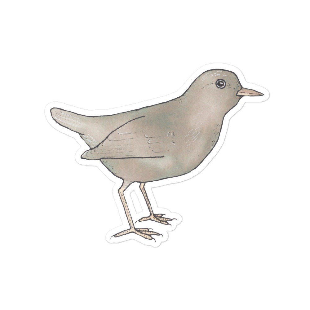 American Dipper Bird Decal Watercolor Bird Art Bird - Etsy