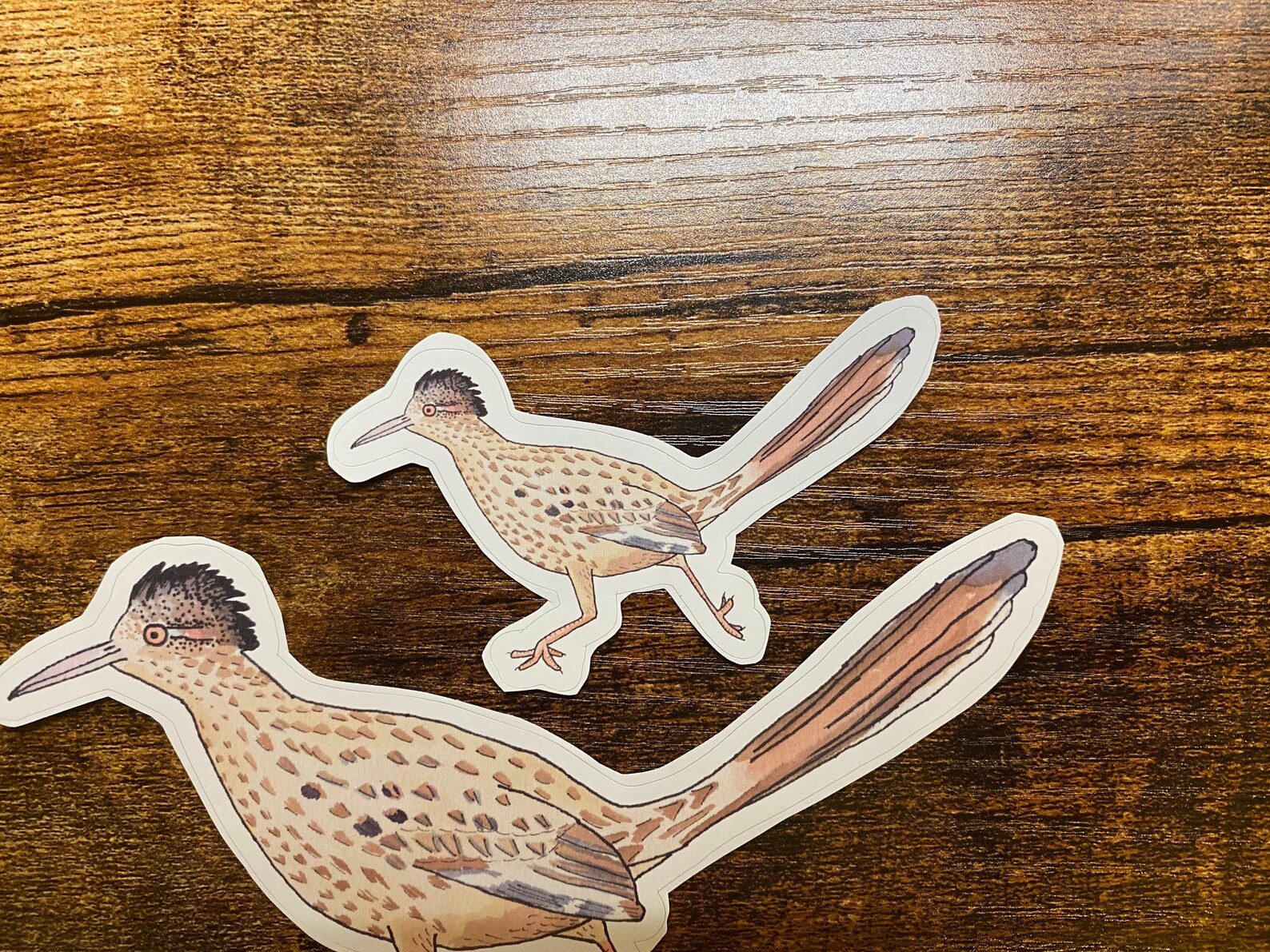 Roadrunner Decal Watercolor Bird Art Bird Sticker - Etsy