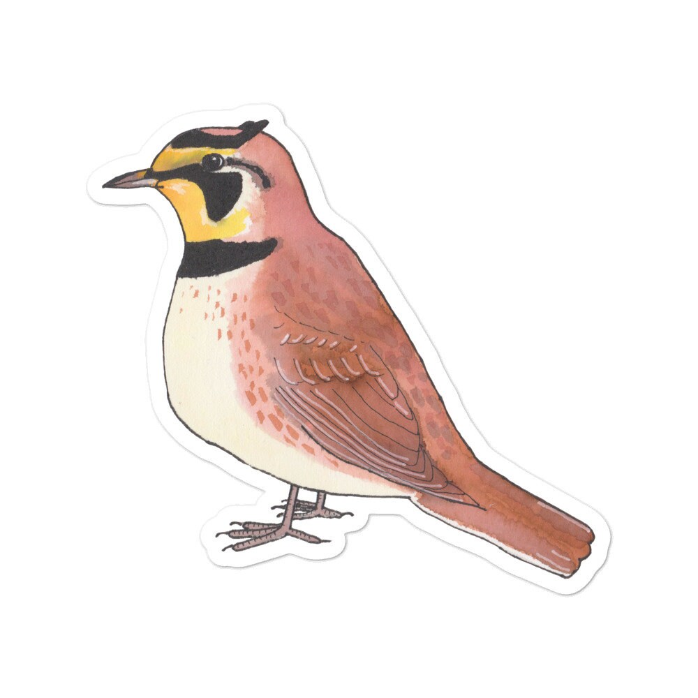 Horned Lark Decal Watercolor Bird Art Bird Sticker Cute Animal Decal ...