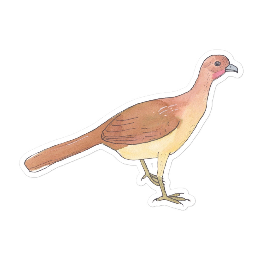 Plain Chachalaca Bird Decal Watercolor Bird Art Bird Sticker Cute ...