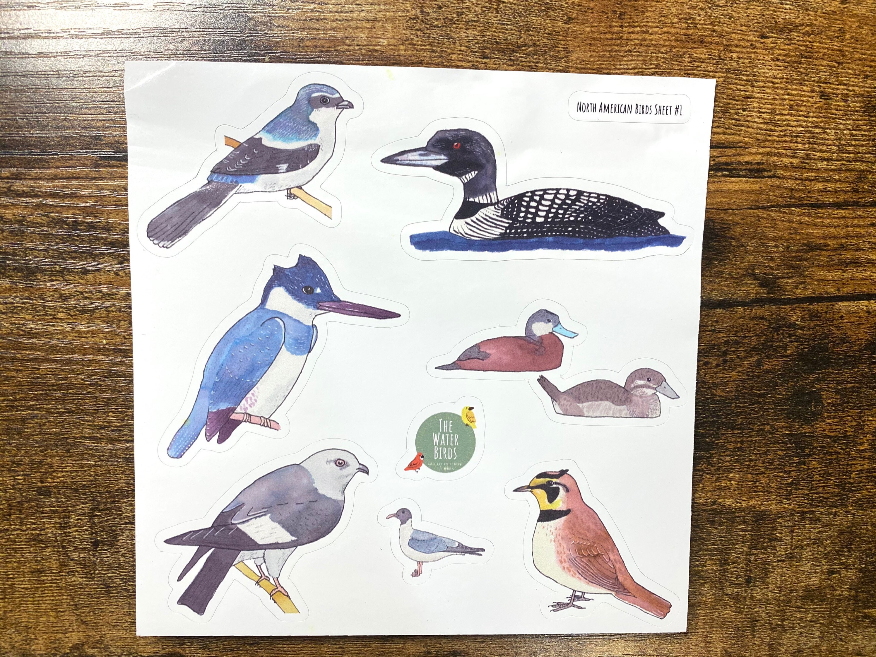 Bird Sticker Sheet 1 Wildlife Stickers Bird Stickers | Etsy