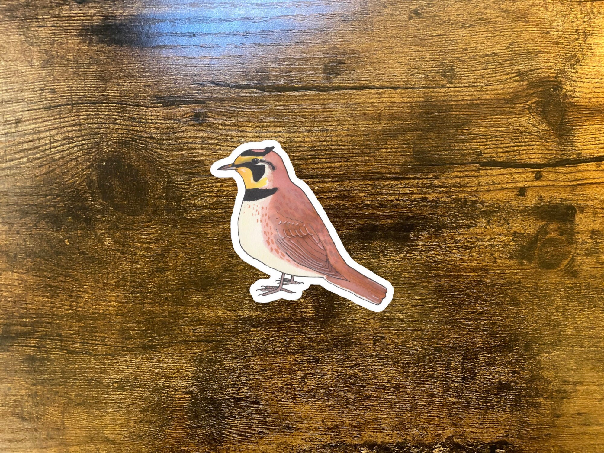 Horned Lark Decal Watercolor Bird Art Bird Sticker Cute Animal Decal ...
