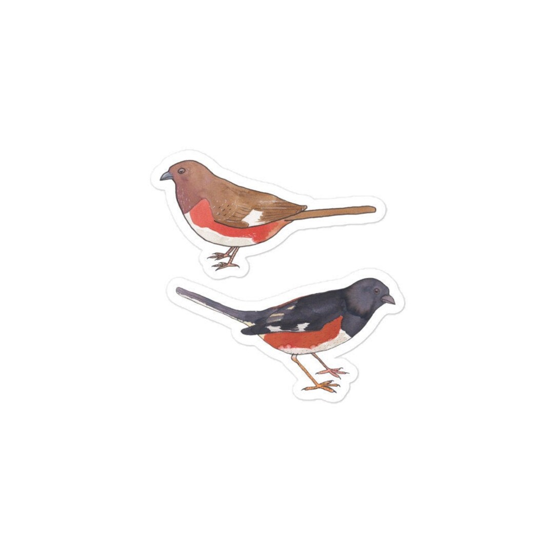 Eastern Towhee Bird Sticker: Watercolor Wildlife Art Decal - Etsy