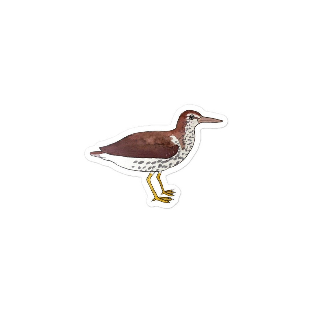 Spotted Sandpiper Sticker: Watercolor Bird Art Decal - Etsy