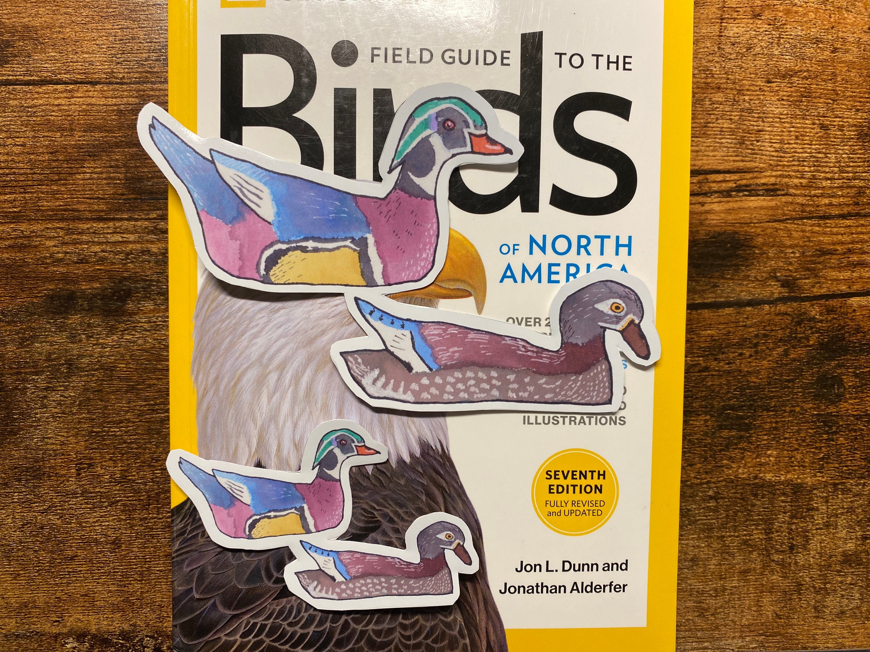 Wood Duck Decal Watercolor Bird Art Bird Sticker - Etsy