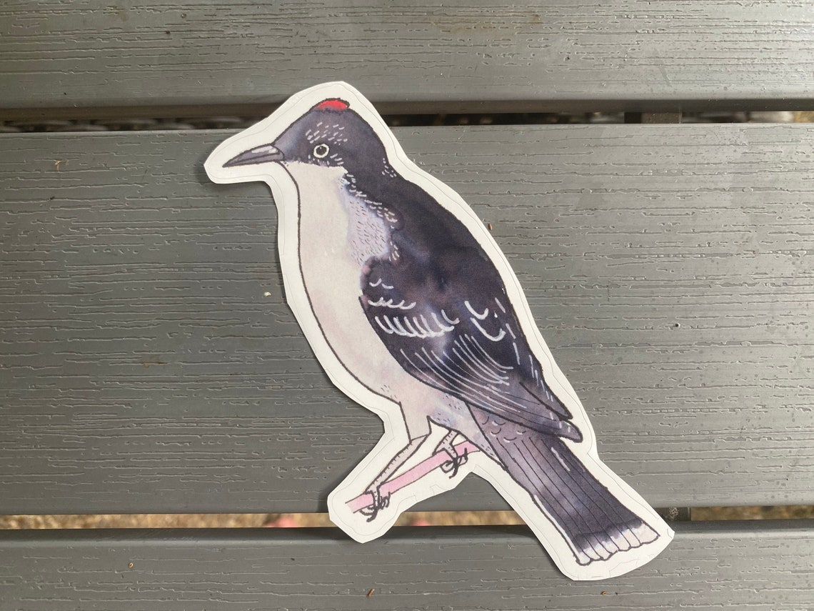 Eastern Kingbird Decal Watercolor Bird Art Bird Sticker - Etsy