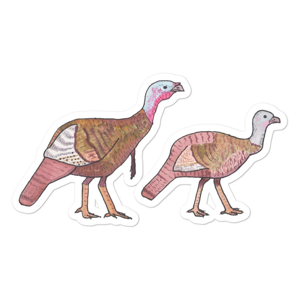 Wild Turkey Decal Watercolor Bird Art Bird Sticker Turkey Sticker - Etsy UK