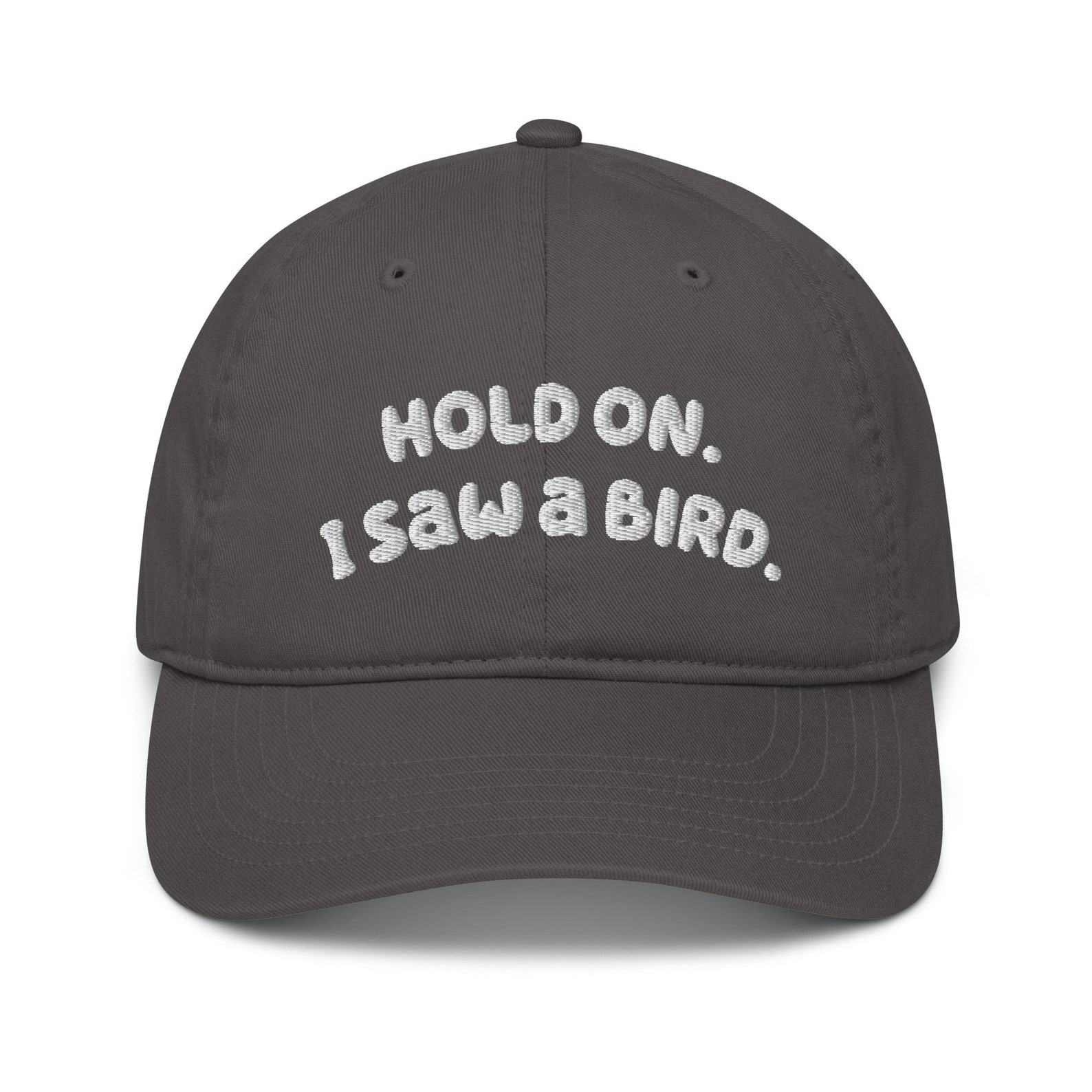 Hold On. I Saw a Bird Hat. Organic Dad Hat. Color Options. - Etsy