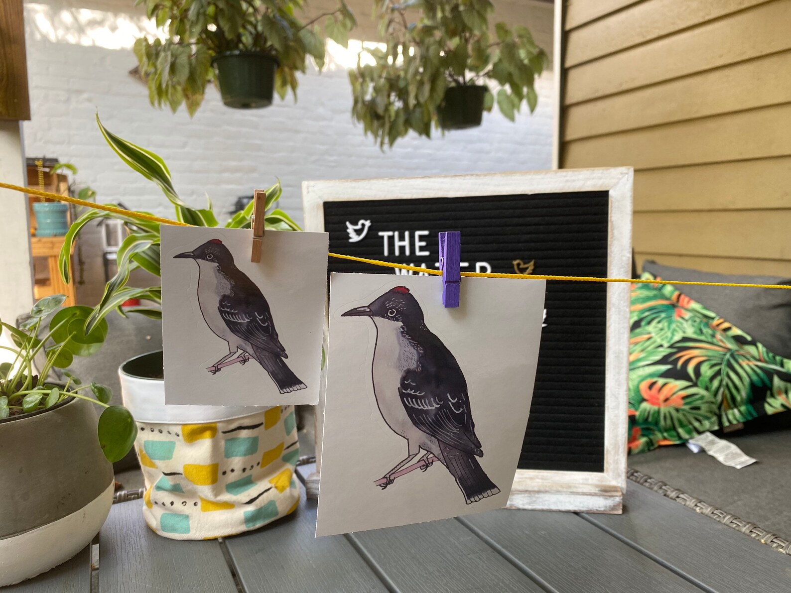 Eastern Kingbird Decal Watercolor Bird Art Bird Sticker - Etsy