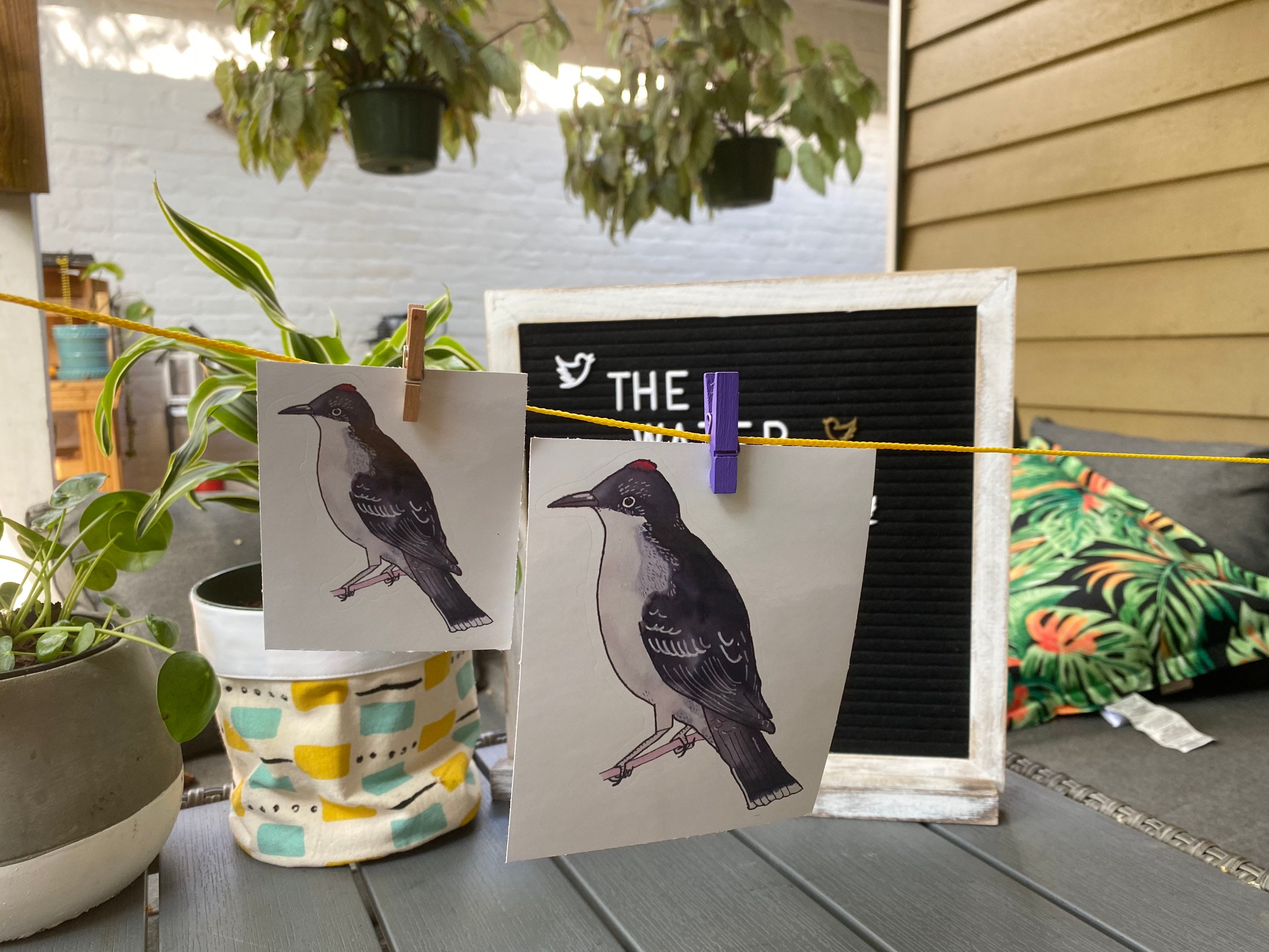 Eastern Kingbird Decal - Watercolor Bird Art - Bird Sticker - Etsy