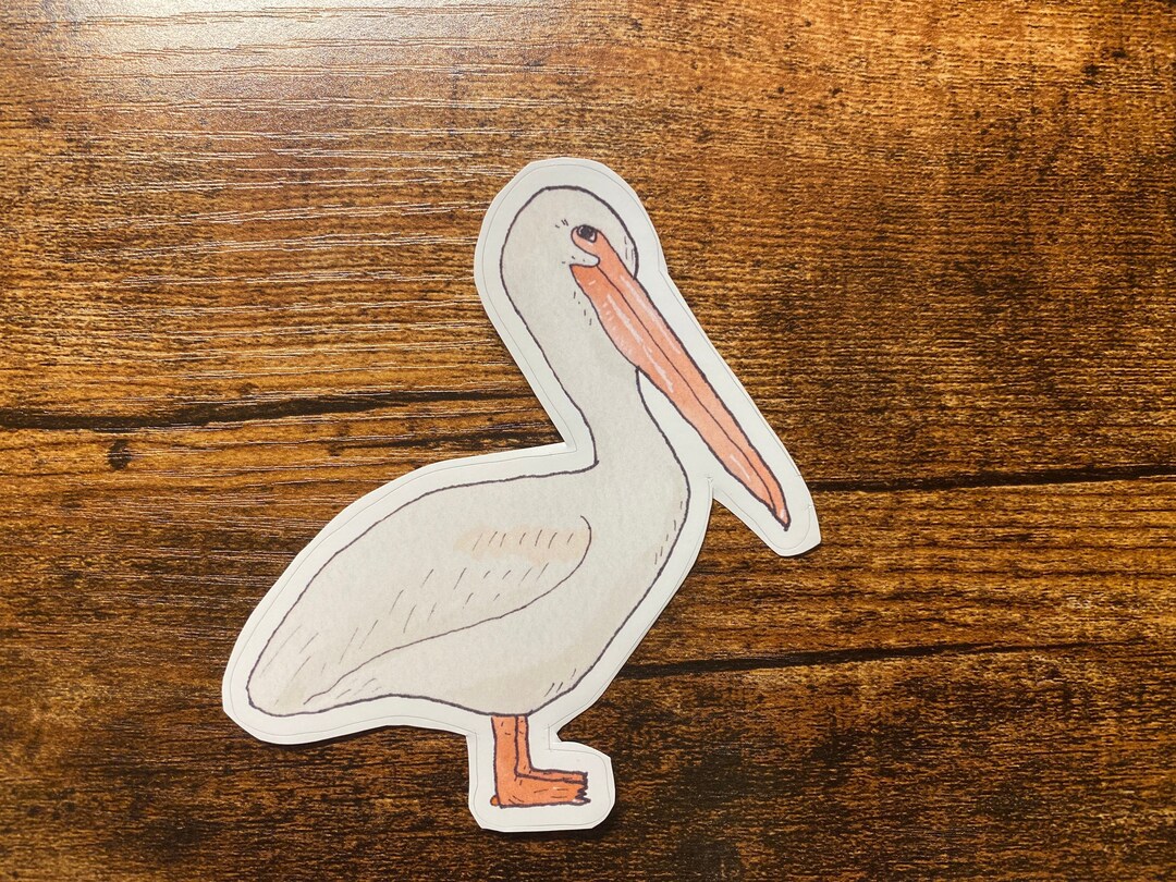 American White Pelican Decal - Watercolor Bird Art - Bird Sticker - Etsy