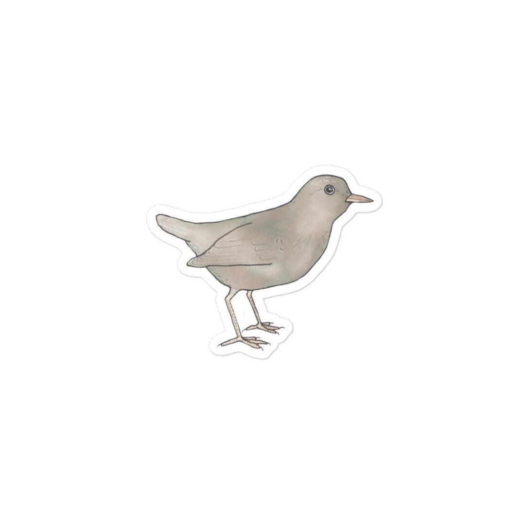 American Dipper Bird Decal - Watercolor Bird Art - Bird Sticker - Cute ...