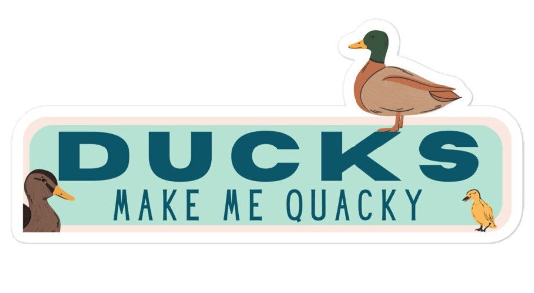 Ducks Make Me Quacky Decal Bird Sticker - Etsy