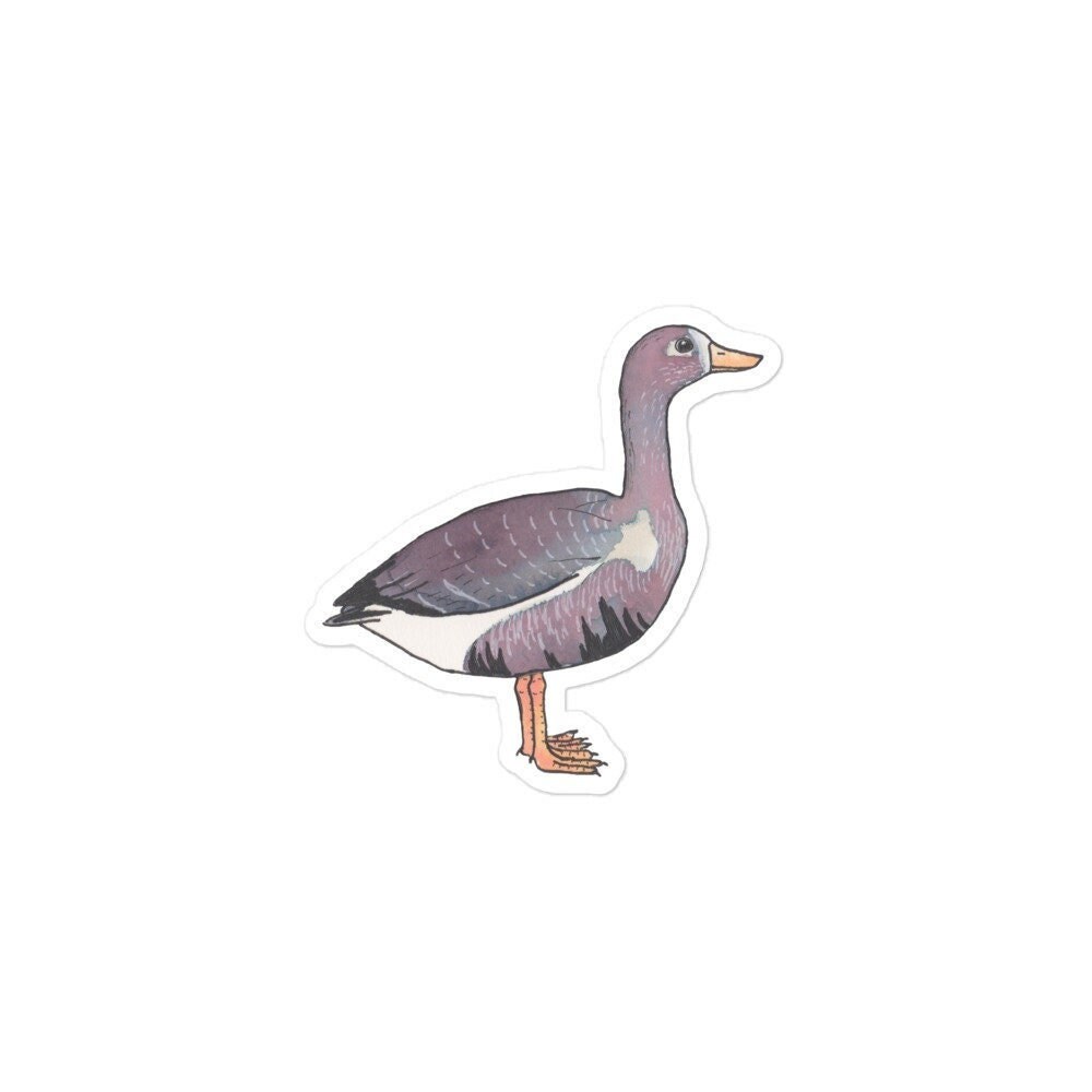 Greater White-fronted Goose Decal Watercolor Bird Art Bird Sticker Bird ...