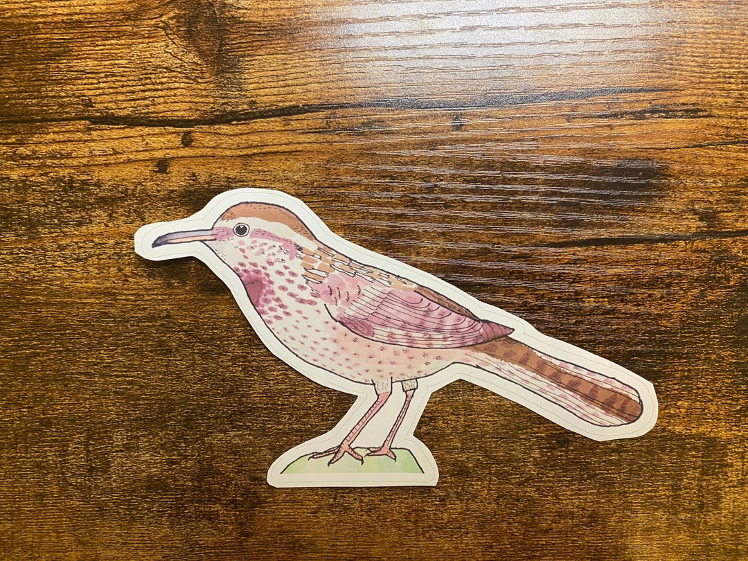 Cactus Wren Decal - Watercolor Bird Art - Bird Sticker - Etsy