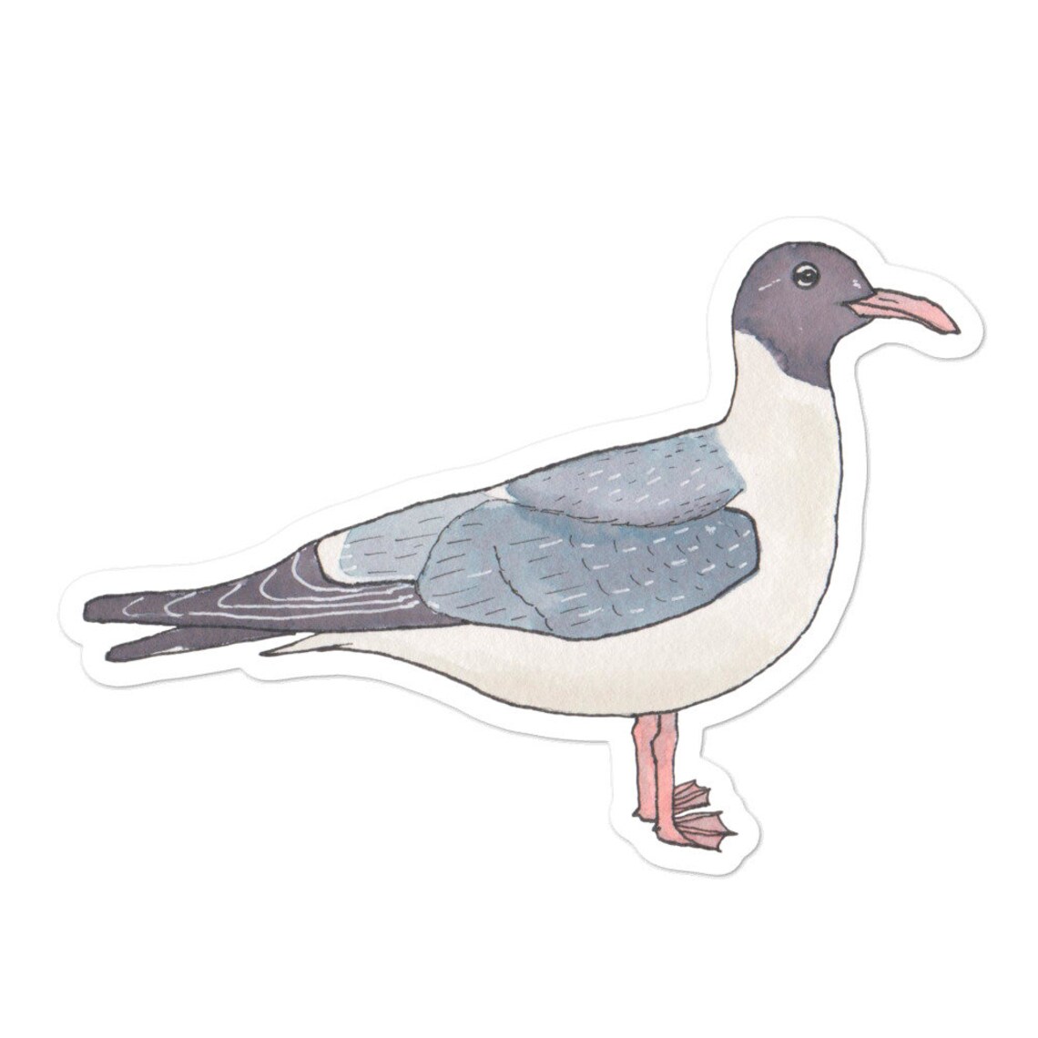 Laughing Gull Decal Watercolor Bird Art Bird Sticker Cute Animal Decal ...
