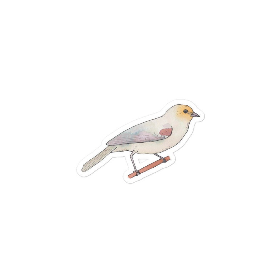 Verdin Bird Decal - Watercolor Bird Art - Bird Sticker - Cute Animal ...