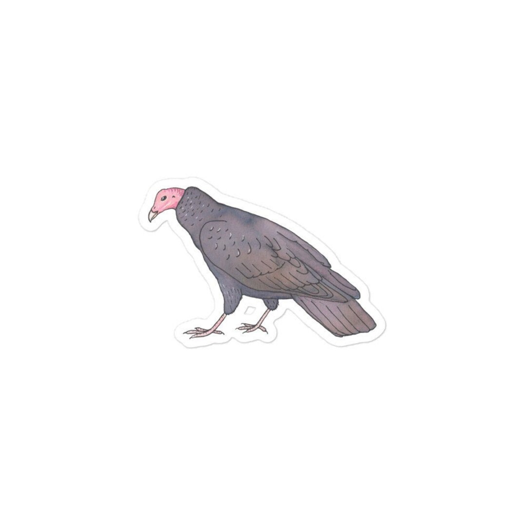 Turkey Vulture Decal - Watercolor Bird Art - Bird Sticker - Cute Animal ...