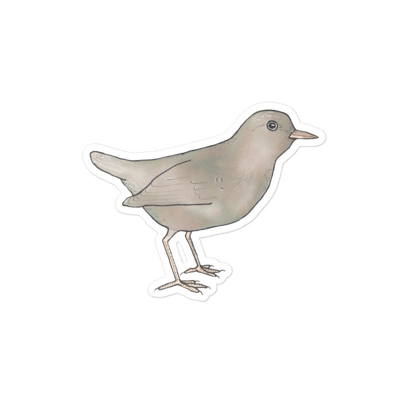 American Dipper Bird Decal Watercolor Bird Art Bird - Etsy