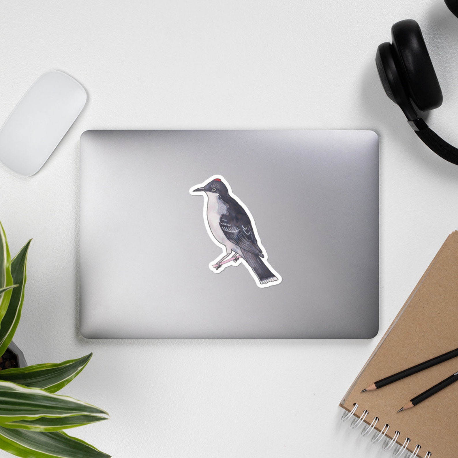 Eastern Kingbird Decal - Watercolor Bird Art - Bird Sticker - Etsy