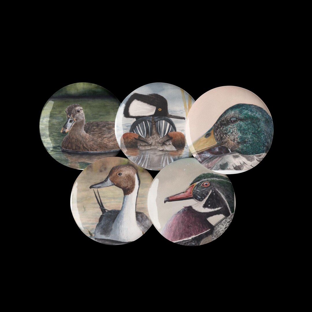Watercolor Duck Art - Set of 5 Pin Buttons - Etsy