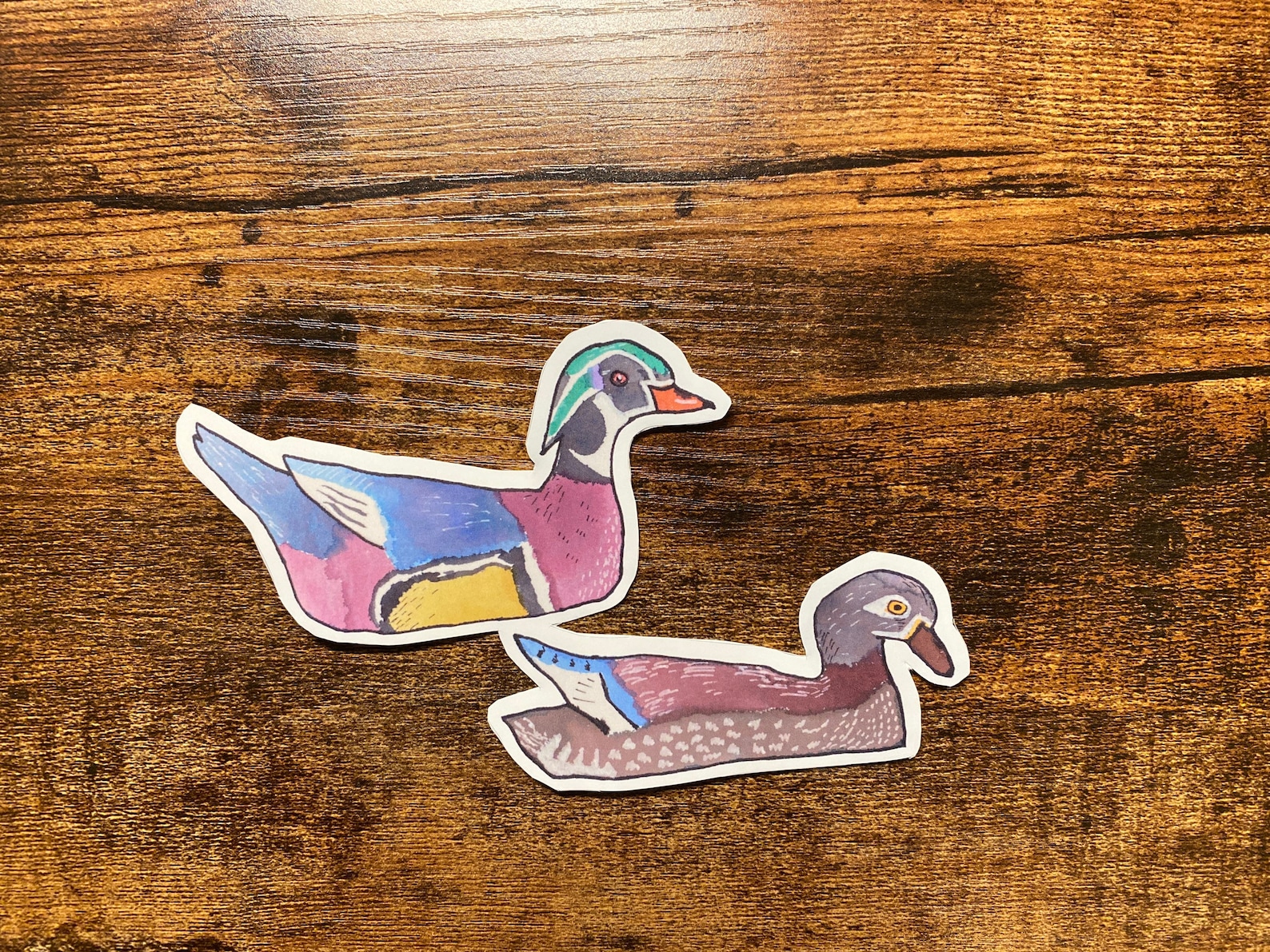 Wood Duck Decal Watercolor Bird Art Bird Sticker - Etsy