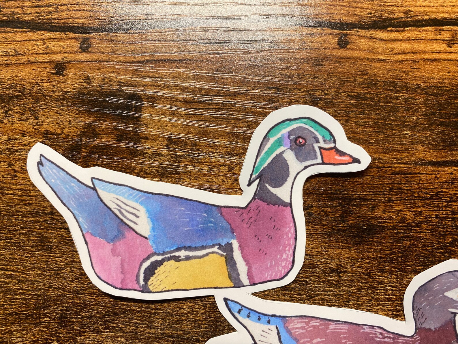 Wood Duck Decal Watercolor Bird Art Bird Sticker - Etsy