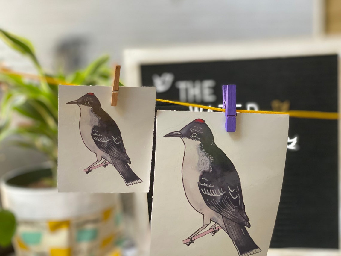 Eastern Kingbird Decal - Watercolor Bird Art - Bird Sticker - Etsy