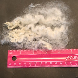 Highly Crimped White Border Leicester Washed Wool for Spinning Felting ...