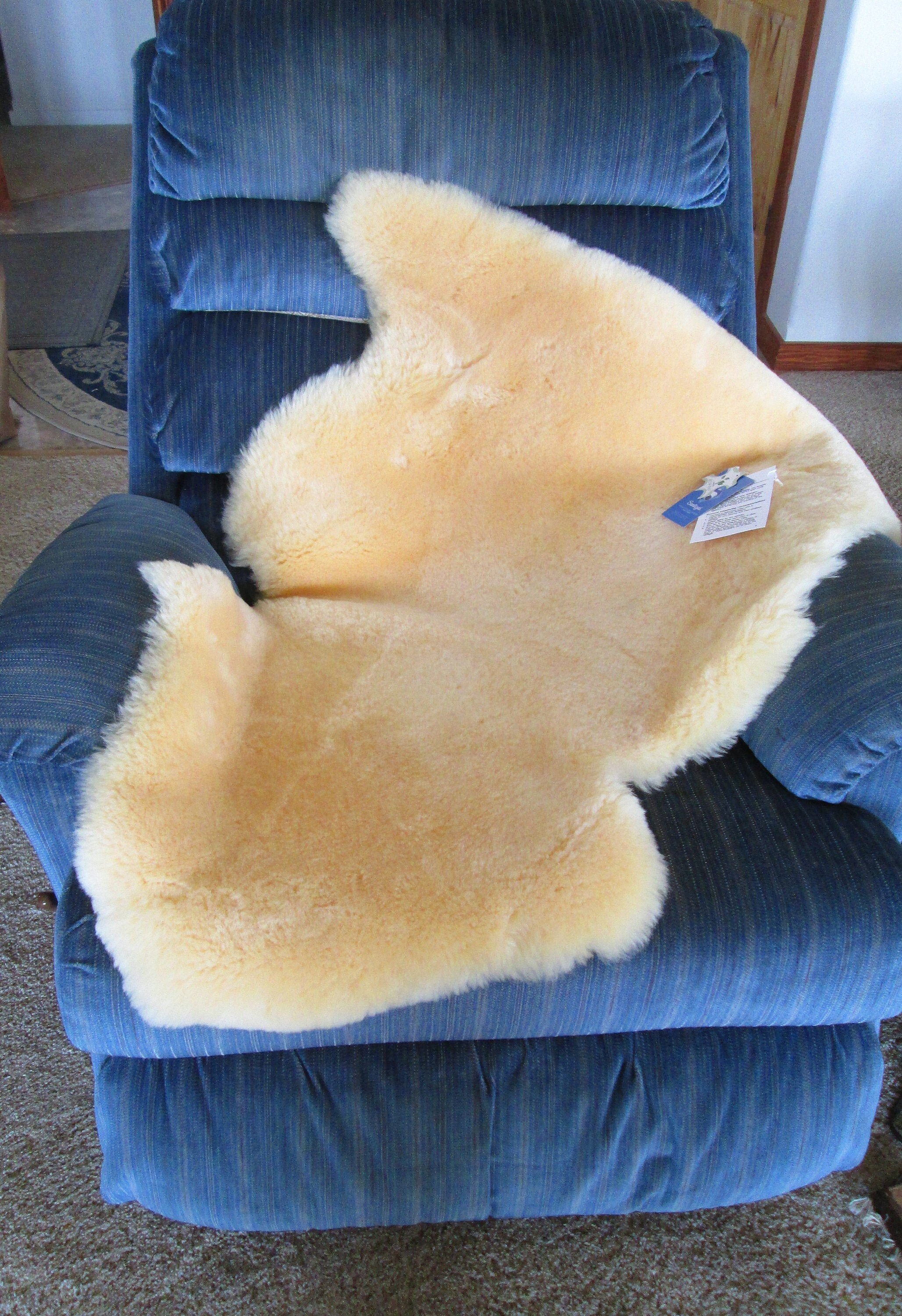 Wool Sheep Pelt Washable Wool for Medical Use, Children, Babies, Pets ...