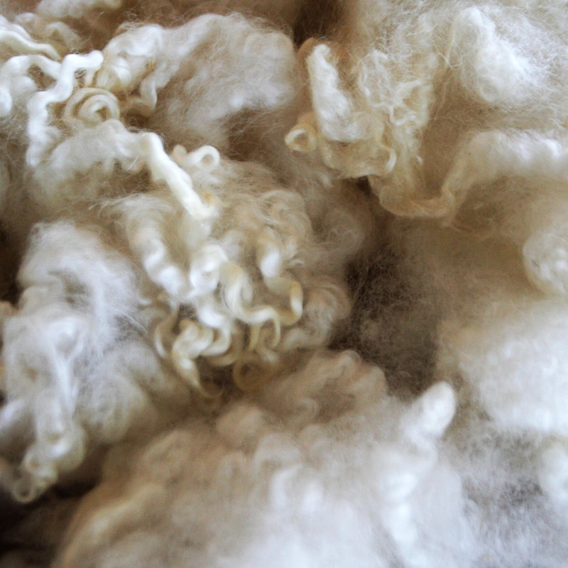 Wool Locks - Etsy