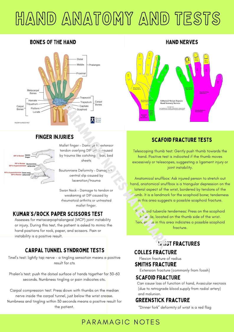 Wrist and Hand Assessment Revision Sheet | Student Paramedic Minor ...