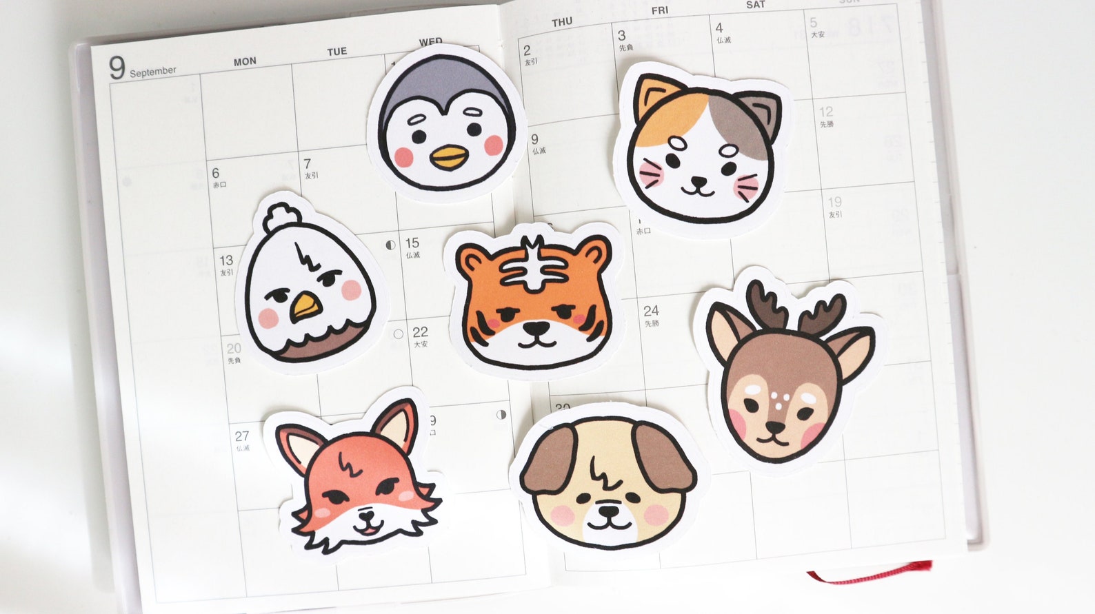 ENHYPEN Animal Emoticon Sticker Set 7 Stickers Kpop - Etsy Hong Kong
