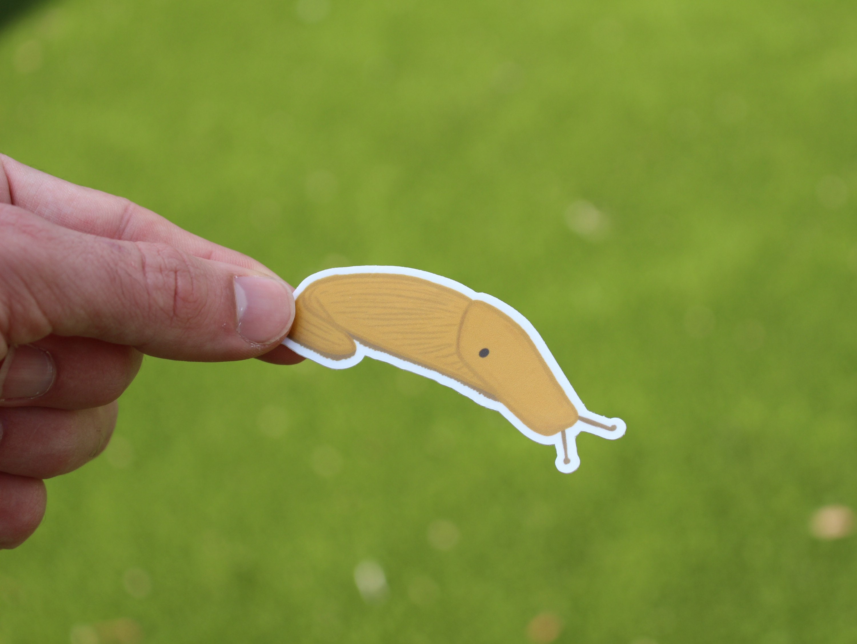 Banana Slug Sticker - Etsy