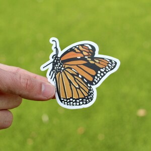 Monarch Butterfly Sticker - Etsy