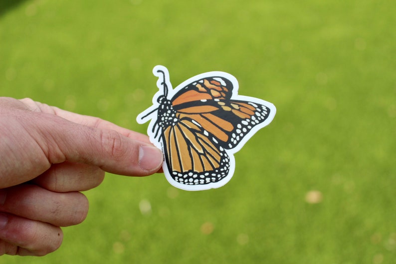 Monarch Butterfly Sticker | Etsy