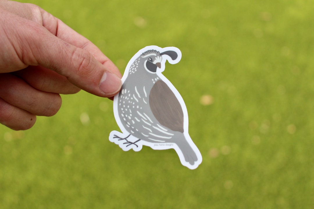California Quail Sticker - Etsy