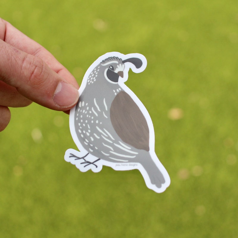 Quail Stickers - Etsy