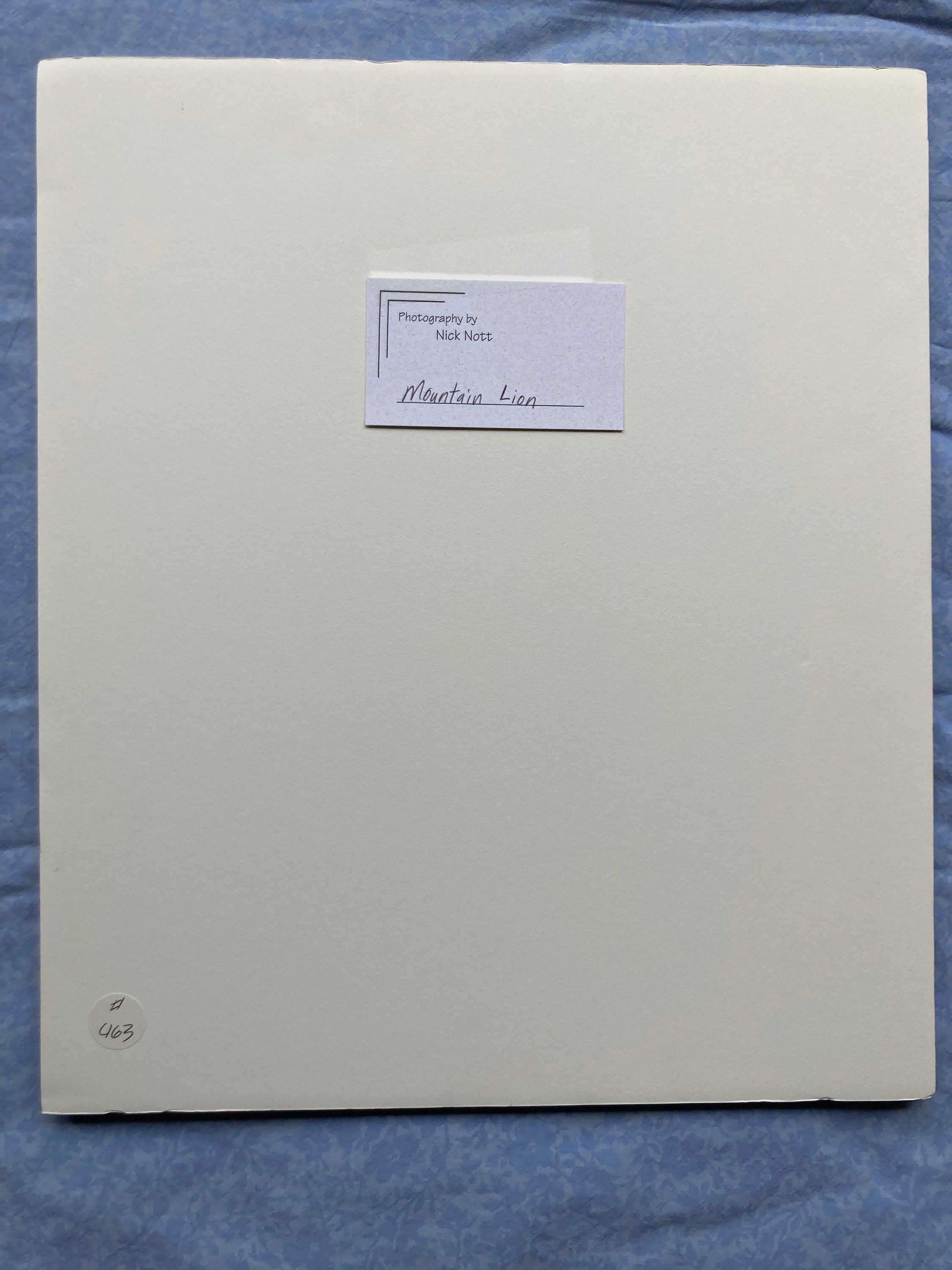 Pair of Nick Nott Limited Edition Wildlife Photographs Matted, Signed ...