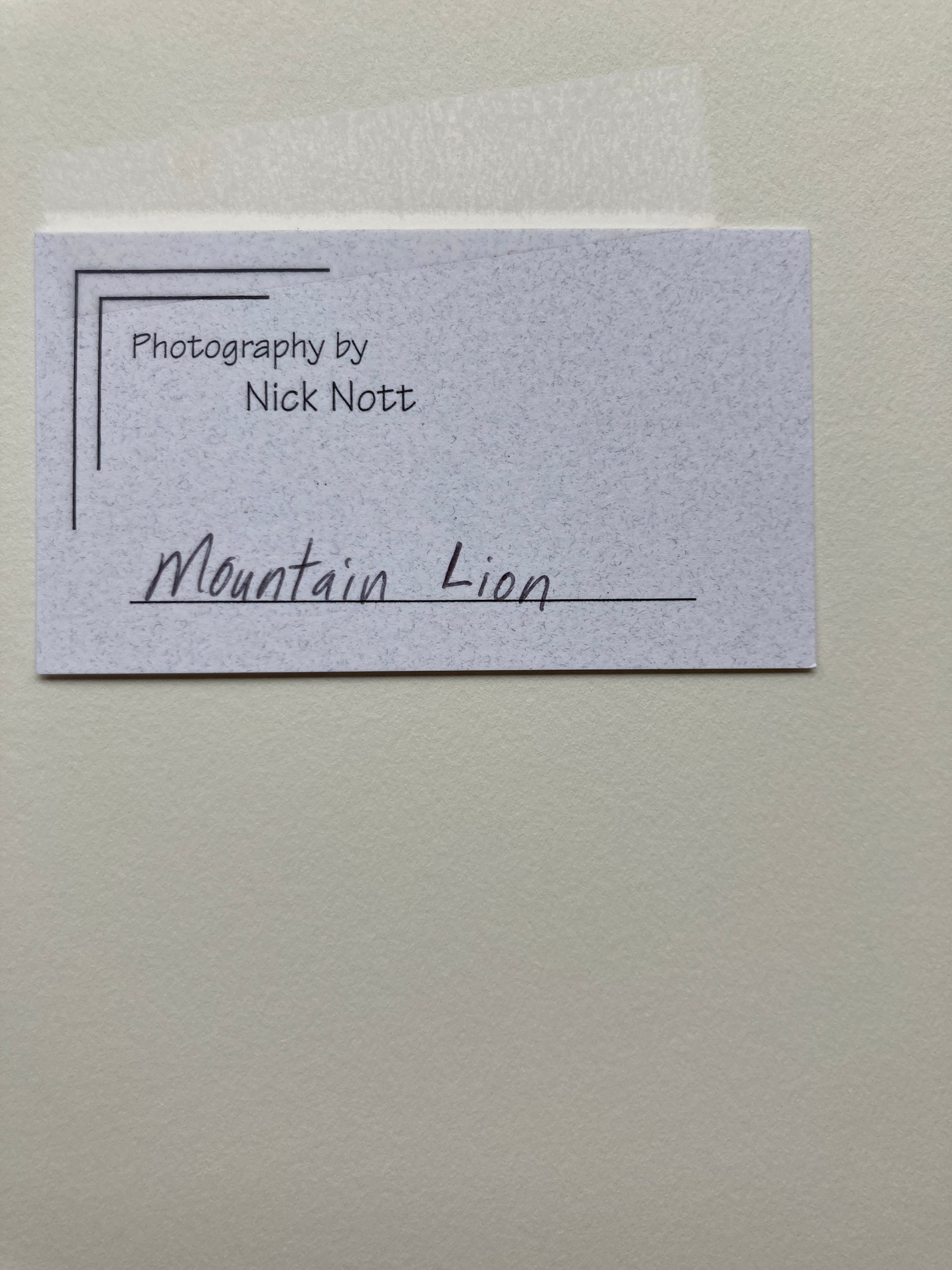 Pair of Nick Nott Limited Edition Wildlife Photographs Matted, Signed ...