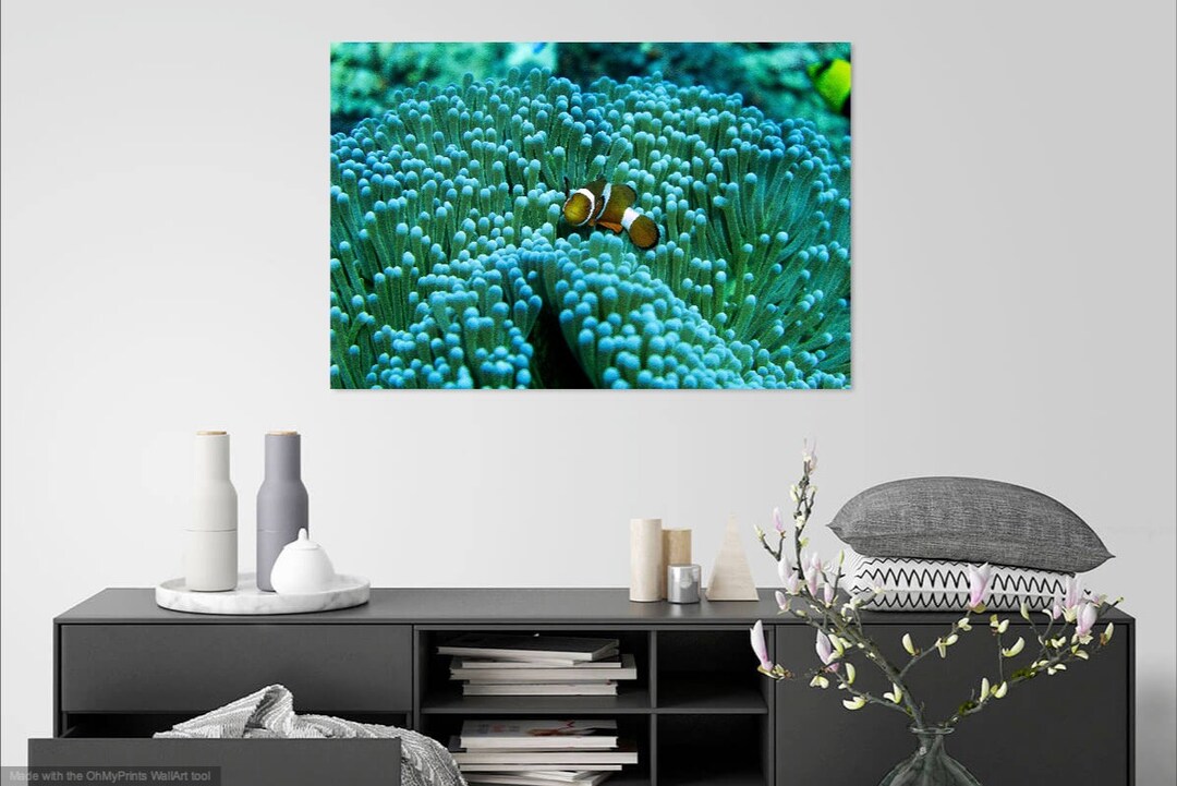 Clownfish Photo Print: Bali Ocean Wall Art - Etsy