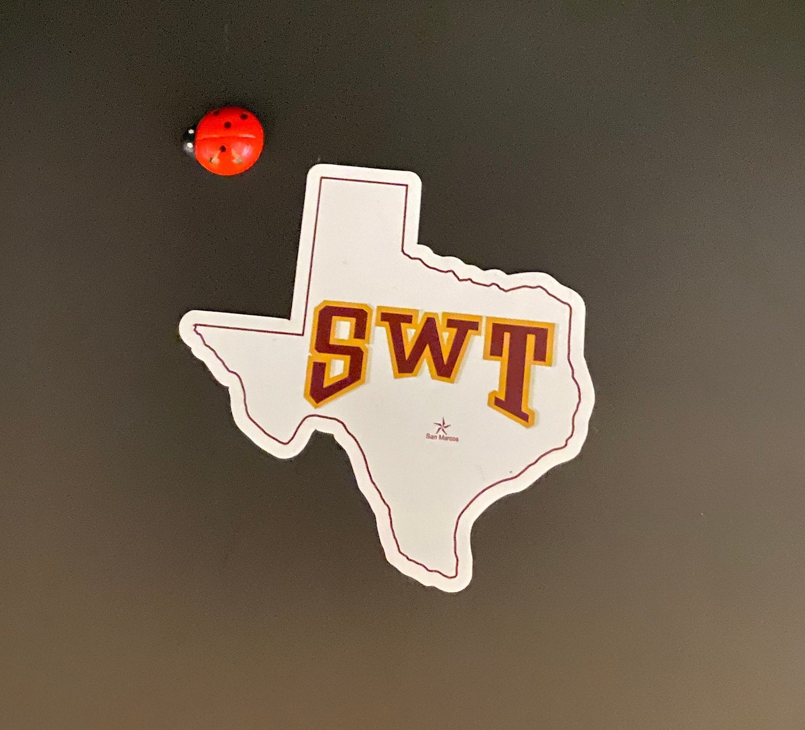Southwest Texas State UniversityMagnet Texas Shape Letter | Etsy