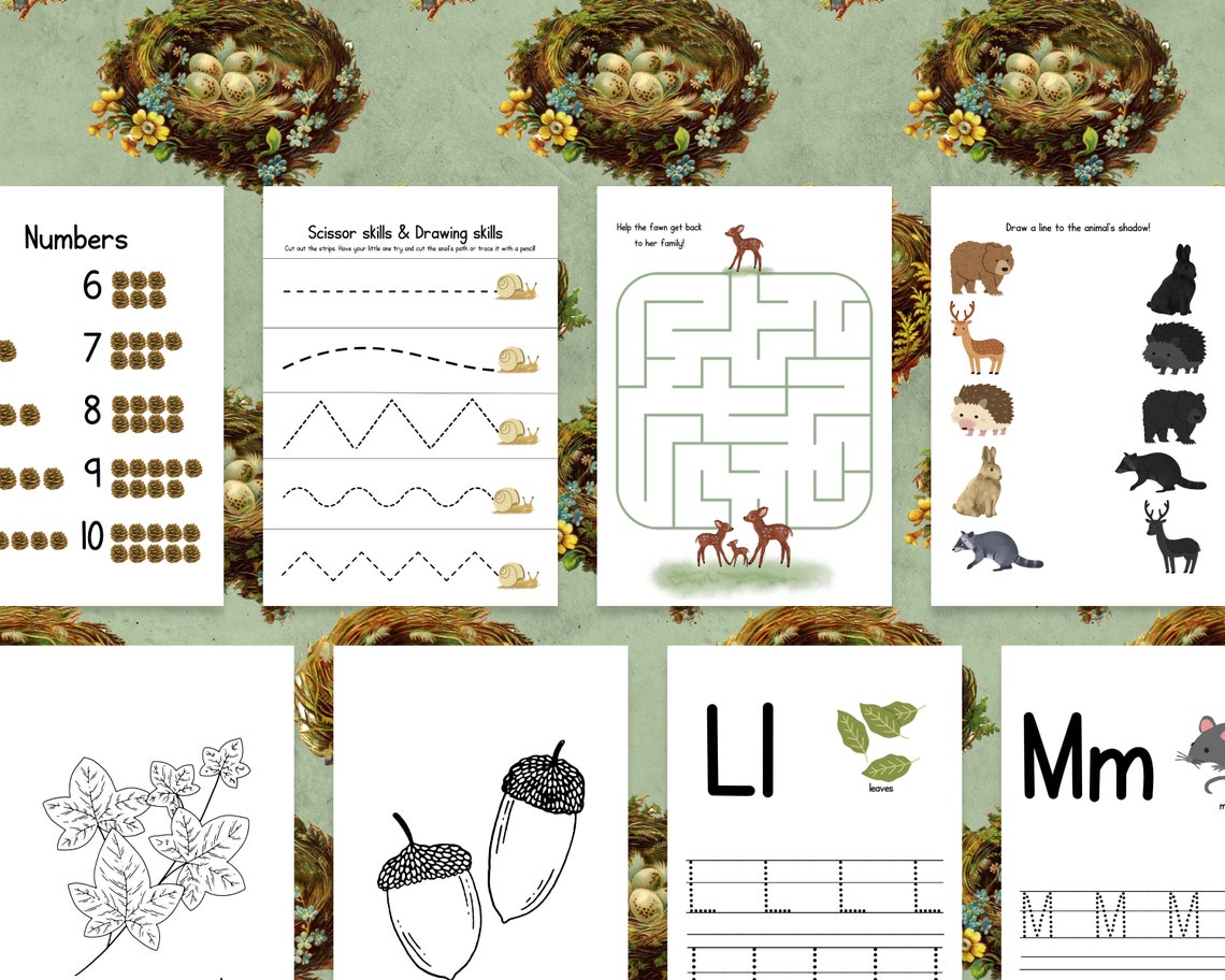 Woodland Learning Bundle: ABC Tracing, Numbers, Maze (PDF Printable ...