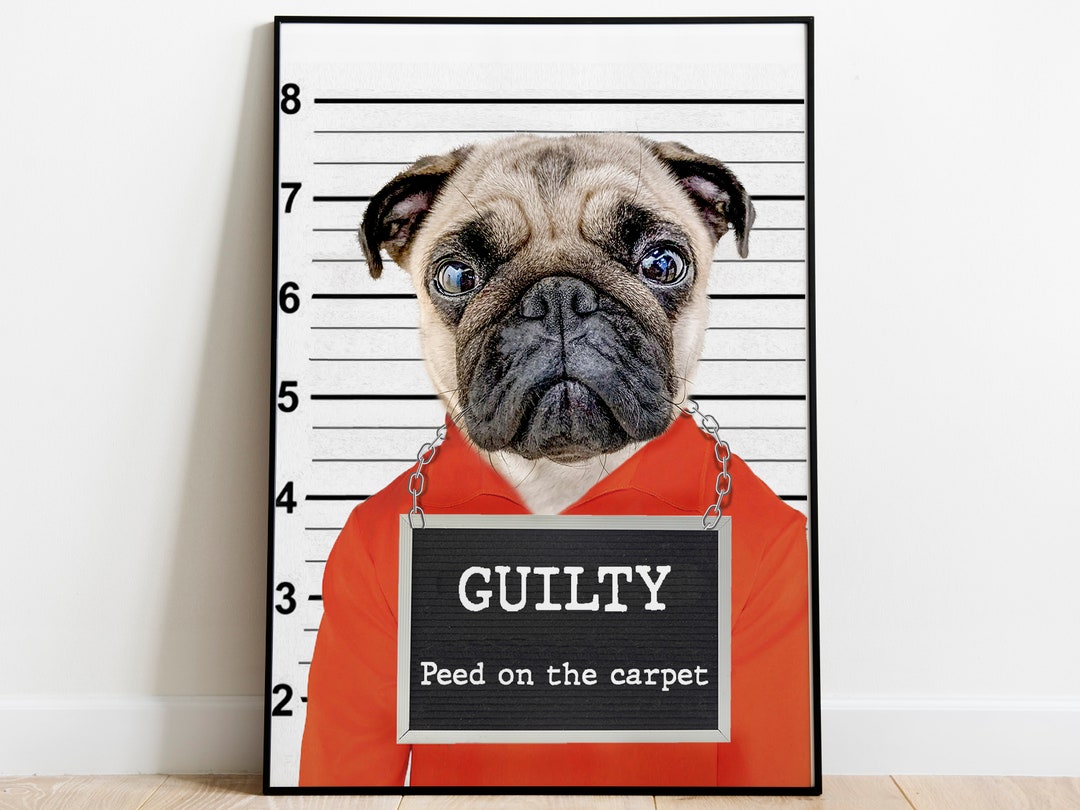 Custom Pet Mugshot Portrait, Mugshot Dog Portrait, Custom Dog Portrait ...